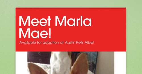 Design newsletters to spread the word online | Smore