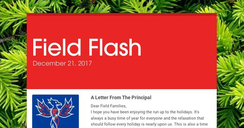 Field Flash