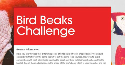 Bird Beaks Challenge | Smore Newsletters