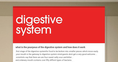 digestive system | Smore Newsletters