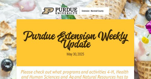 Design newsletters to spread the word online | Smore