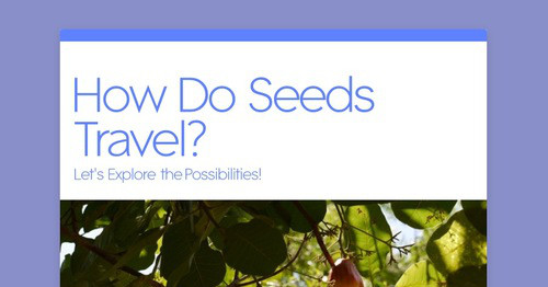 How Do Seeds Travel? | Smore Newsletters
