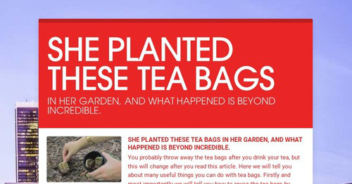 SHE PLANTED THESE TEA BAGS | Smore Newsletters
