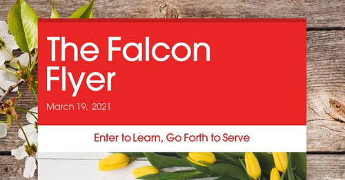 The Falcon Flyer