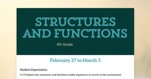 Structures and Functions | Smore Newsletters