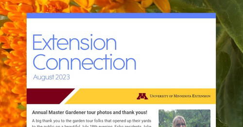 Extension Connection