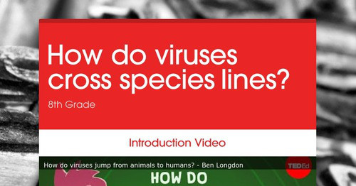 How do viruses cross species lines? | Smore Newsletters