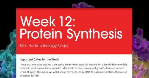 Week 12: Protein Synthesis | Smore Newsletters