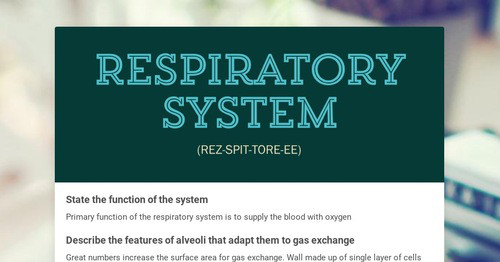 Respiratory System | Smore Newsletters