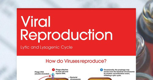 Viral Reproduction | Smore Newsletters