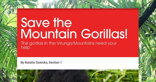 Save the Mountain Gorillas! | Smore Newsletters