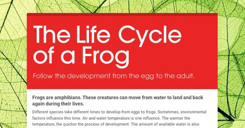 The Life Cycle of a Frog | Smore Newsletters