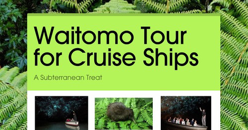 Waitomo Tour for Cruise Ships