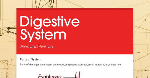 Digestive System | Smore Newsletters
