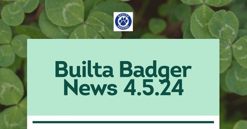 Builta Badger News 4.5.24