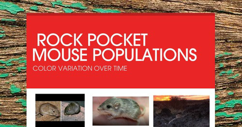 ROCK POCKET MOUSE POPULATIONS | Smore Newsletters