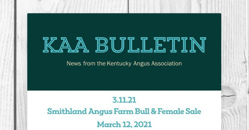 KAA Bulletin | Smore Newsletters