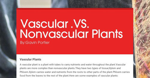 Vascular .VS. Nonvascular Plants | Smore Newsletters