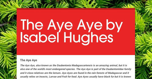 The Aye Aye by Isabel Hughes | Smore Newsletters