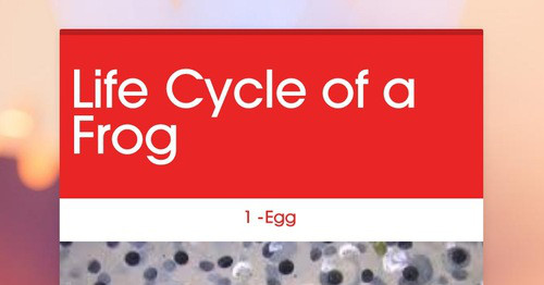 Life Cycle of a Frog | Smore Newsletters
