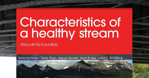 Characteristics of a healthy stream | Smore Newsletters