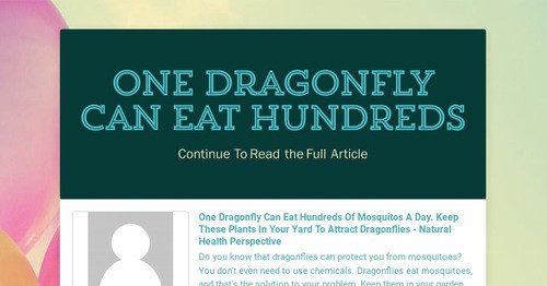 One Dragonfly Can Eat Hundreds | Smore Newsletters