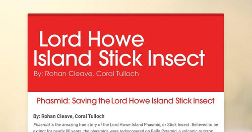Design newsletters to spread the word online | Smore