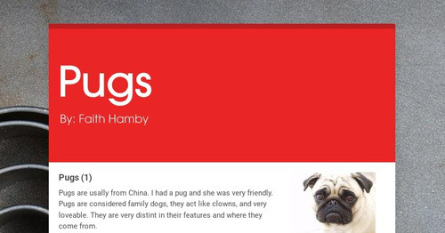 Pugs | Smore Newsletters