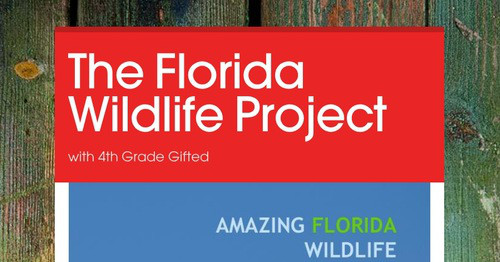 The Florida Wildlife Project | Smore Newsletters