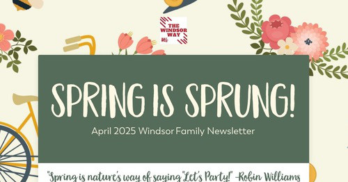 Design newsletters to spread the word online | Smore